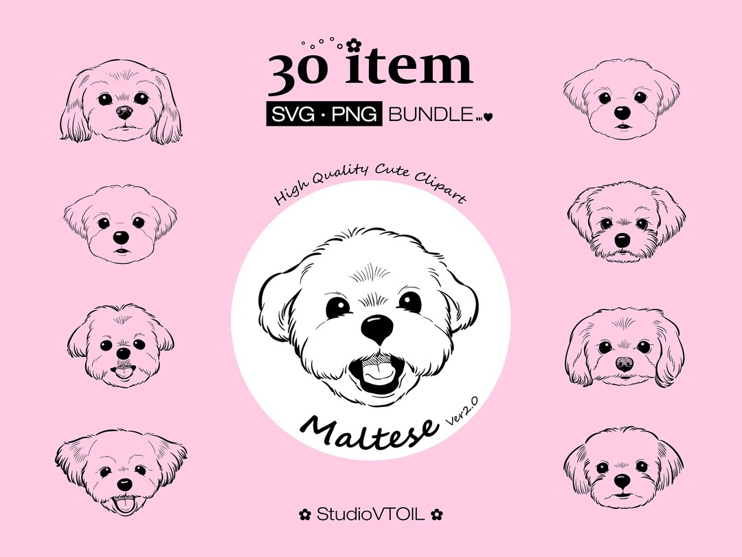 Maltese SVG & PNG Clipart, Dog Head Face Bundle, Vector Image, Line ...