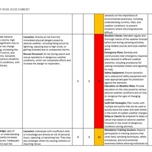Professional Risk Assessment Writing Service - Etsy