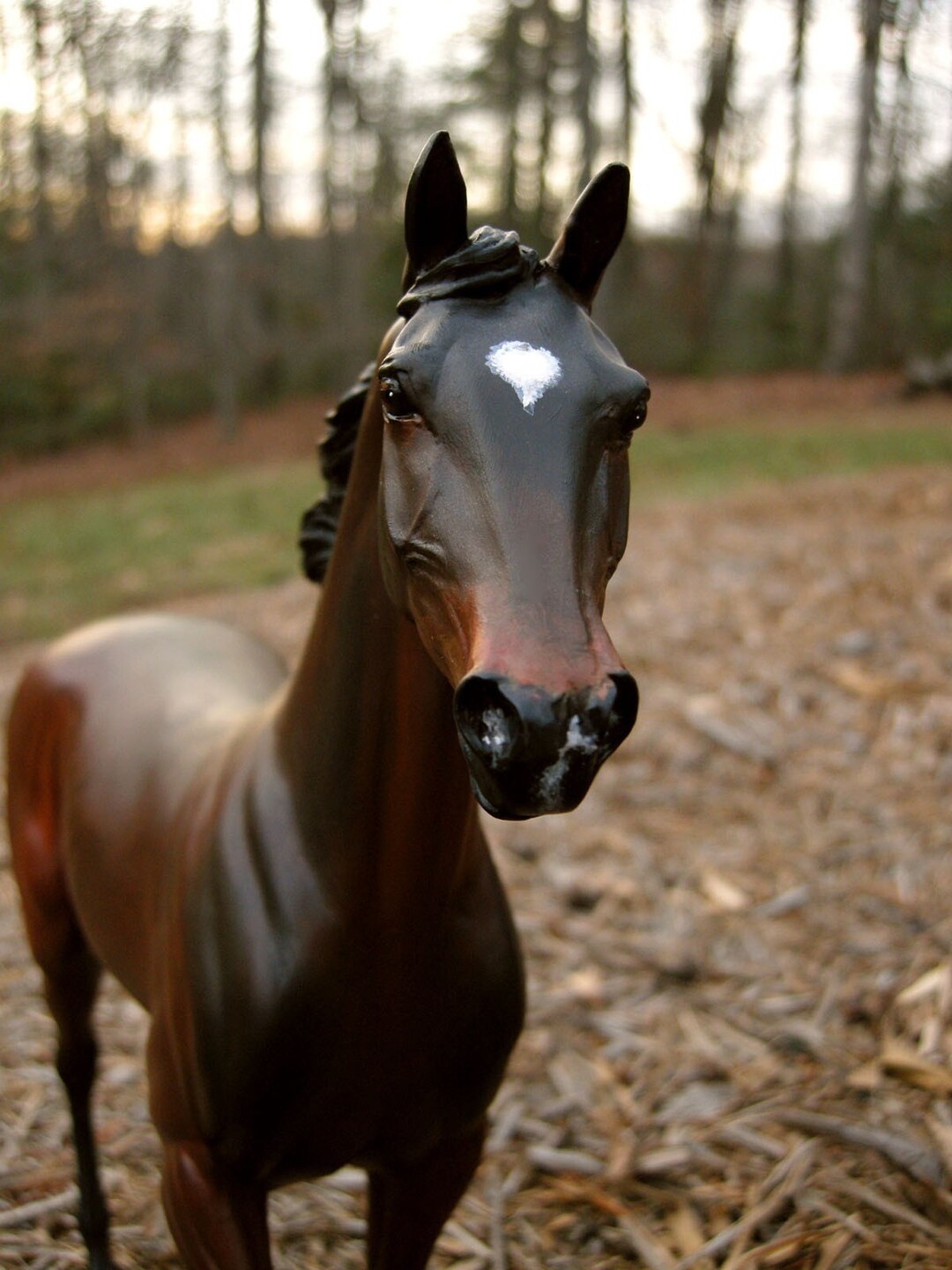 Custom Breyer to Look Like YOUR Horse Traditional Size Solid - Etsy