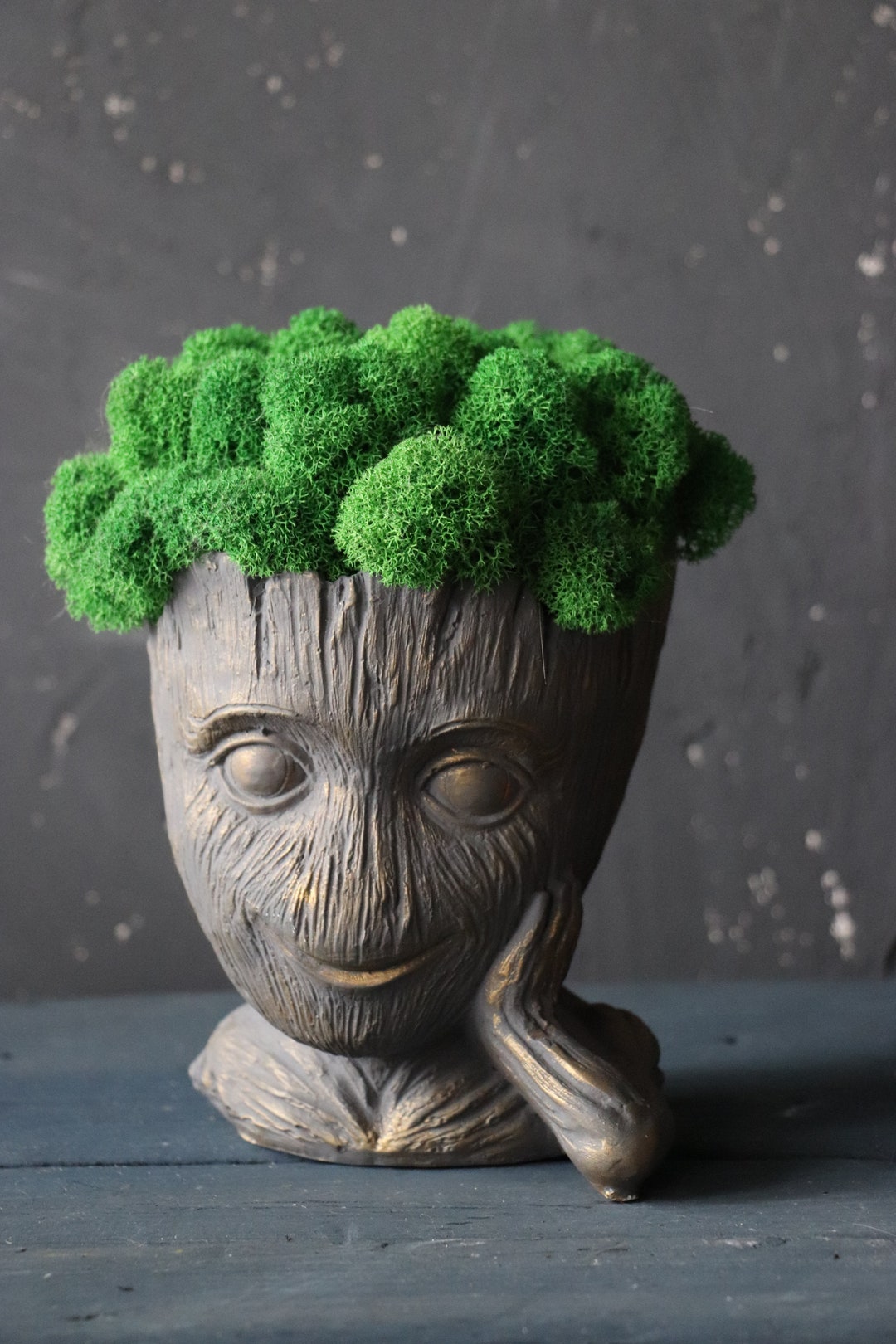 Pots With Moss Groot 15cm X 20cm - Etsy