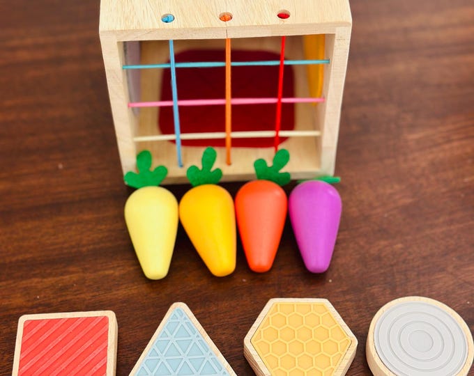Wooden Montessori Shape Sorter With Shapes and Colored Radishes for ...