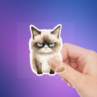 Car Decals - Car Stickers - Vinyl Decals - Grumpy Cat Middle Finger ...