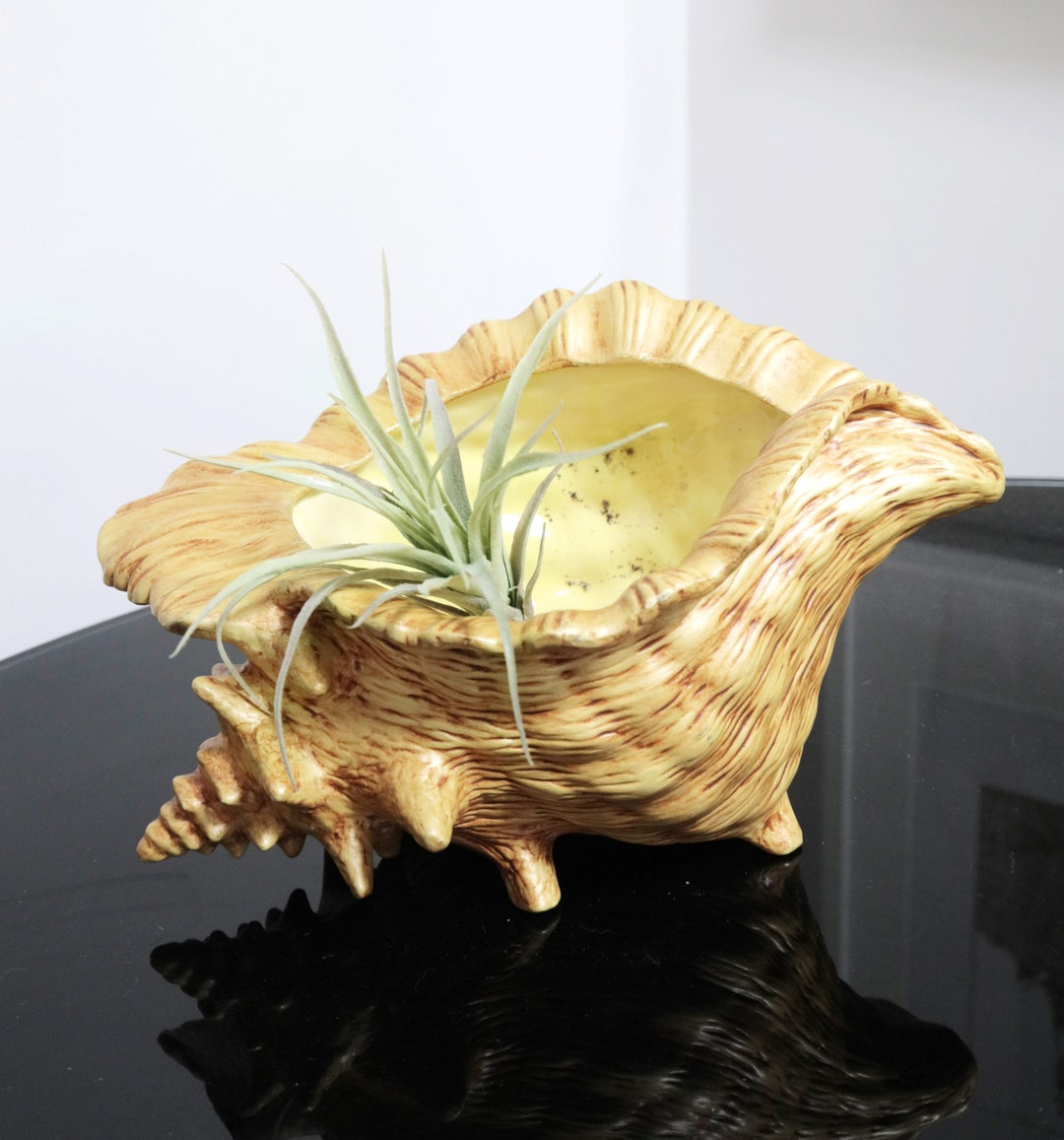 Vintage X Large Ceramic Seashell Planter in Caramel & Yellow, Footed ...