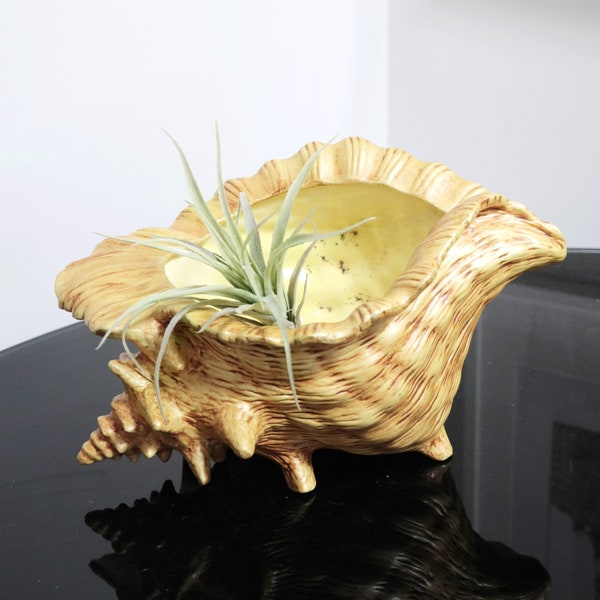 Ceramic Seashell Planter - Etsy