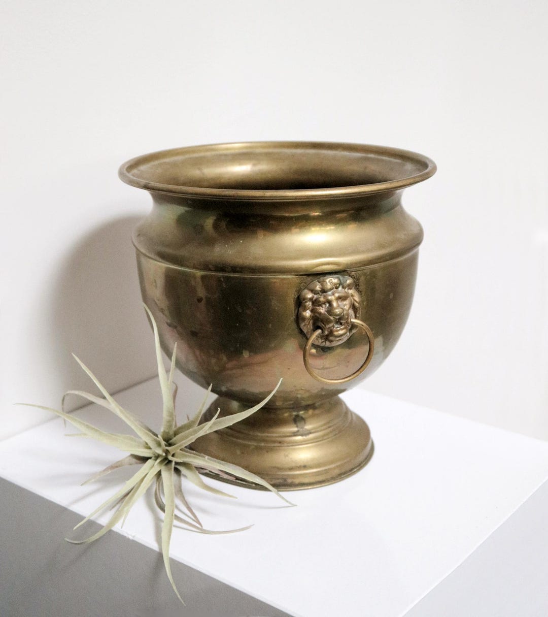 AS IS (dented) - Vintage Brass Urn Planter W/ Lion's Head Double Ring ...
