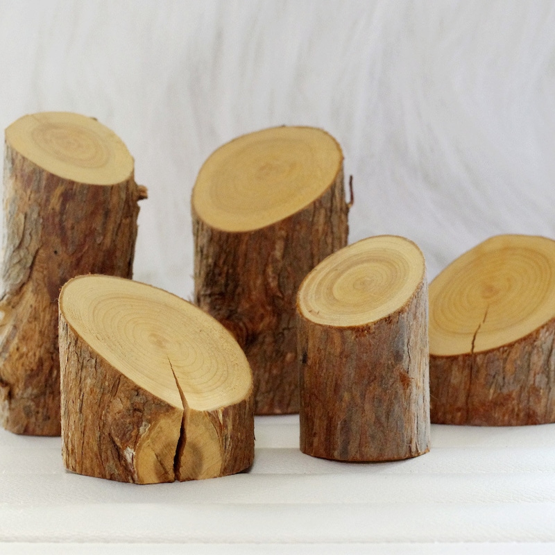 Wooden Slices - Etsy