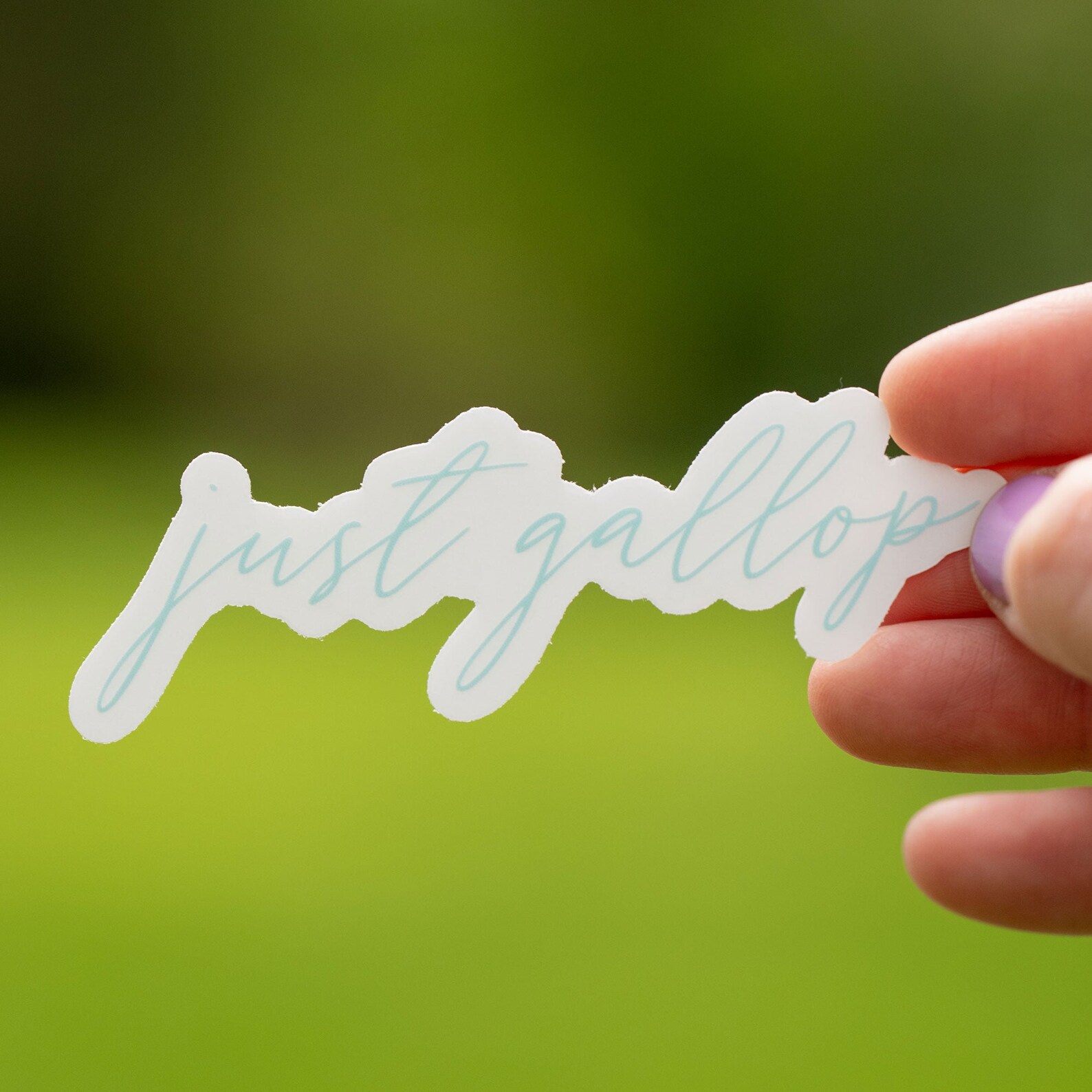 Eventing Sticker Pack Eventer Stickers XC Sticker 3 Day - Etsy