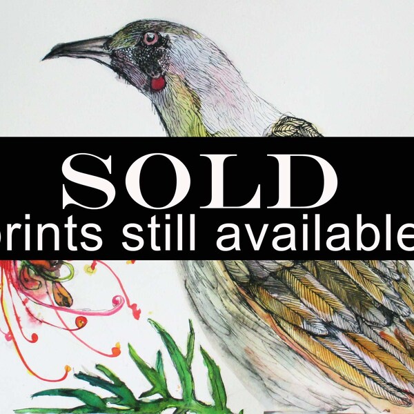 Wattle Drawing - Etsy Australia