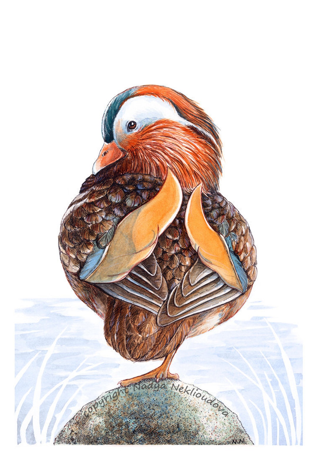 Mandarin Duck Art Print - Watercolour Bird Print, Wildlife Art, Bird ...