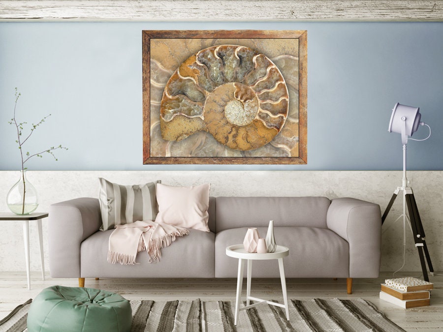 Fossil Ammonite Art Print B Golden Ratio Sea Shell Wall - Etsy UK