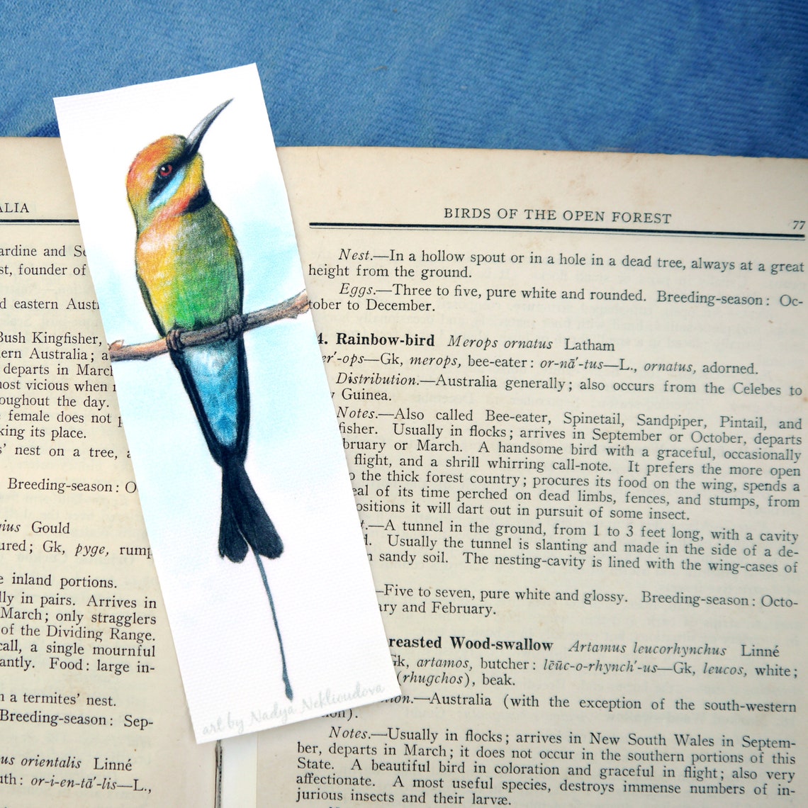 Rainbow Bee-eater Bookmark - Australian Bird Art Print - Etsy