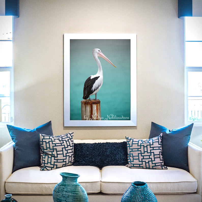 Pelican Photo Print Nautical Decor Pelican Art Print - Etsy
