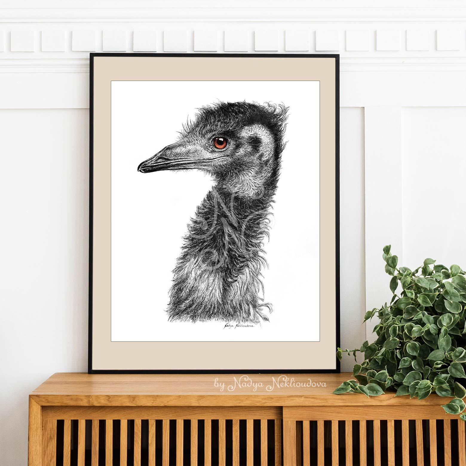 Emu Art Print - Black and White Pen & Ink Drawing, Dramatic Australian ...