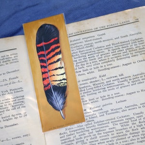 Black Cockatoo Feather Bookmark - Canvas Bookmark 2x6in (5x15cm ...