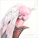 Major Mitchell Cockatoo Art Print Pink Cockatoo Print, Pastel Room ...
