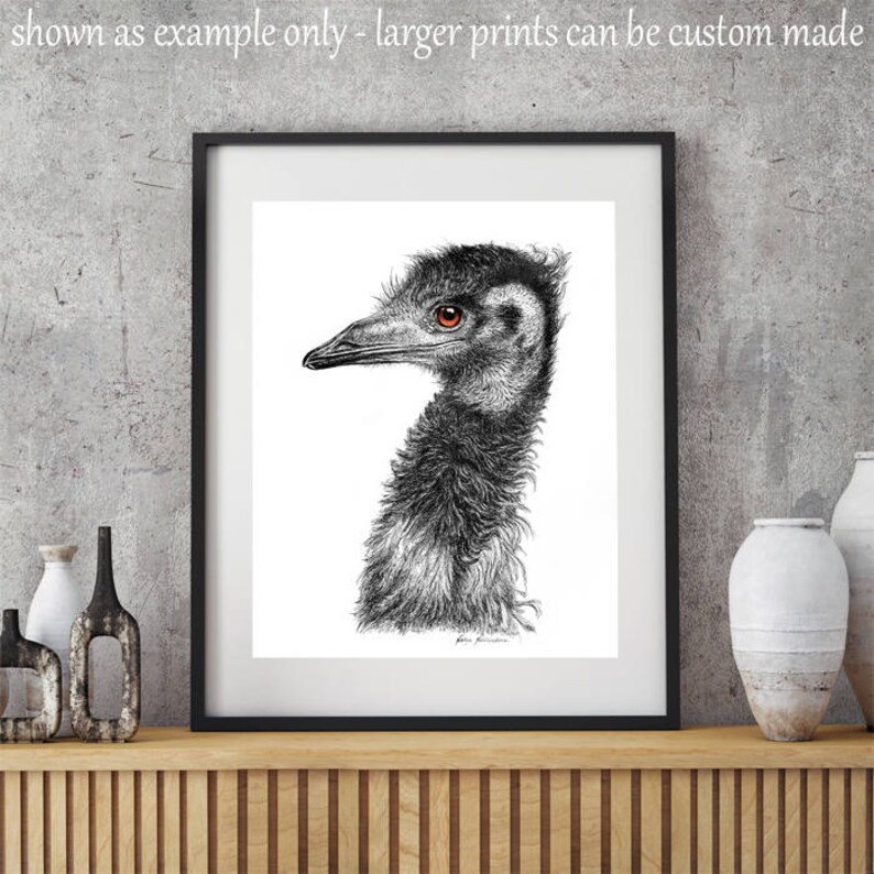 Australian Emu print Australian Bird Art Pen and Ink | Etsy