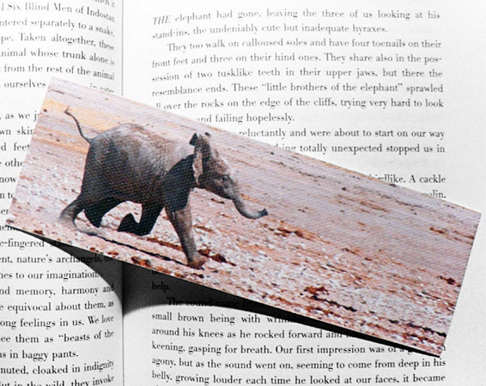 Eucalyptus Leaf Bookmark - Canvas Bookmark 2x6in (5x15cm) - Gumtree ...
