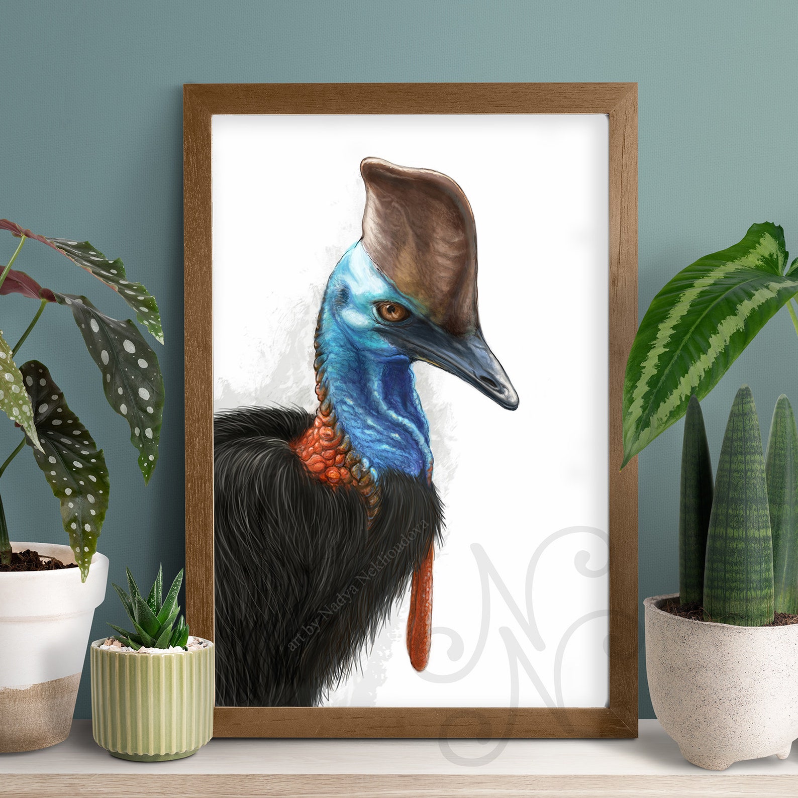 Cassowary Art Print Australian Bird Print Cassowary Wall - Etsy Australia