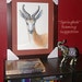 Springbok Antelope Art Print - African Safari Animal Portrait - Etsy