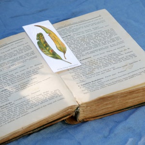 Eucalyptus Leaf Bookmark - Canvas Bookmark 2x6in (5x15cm) - Gumtree ...