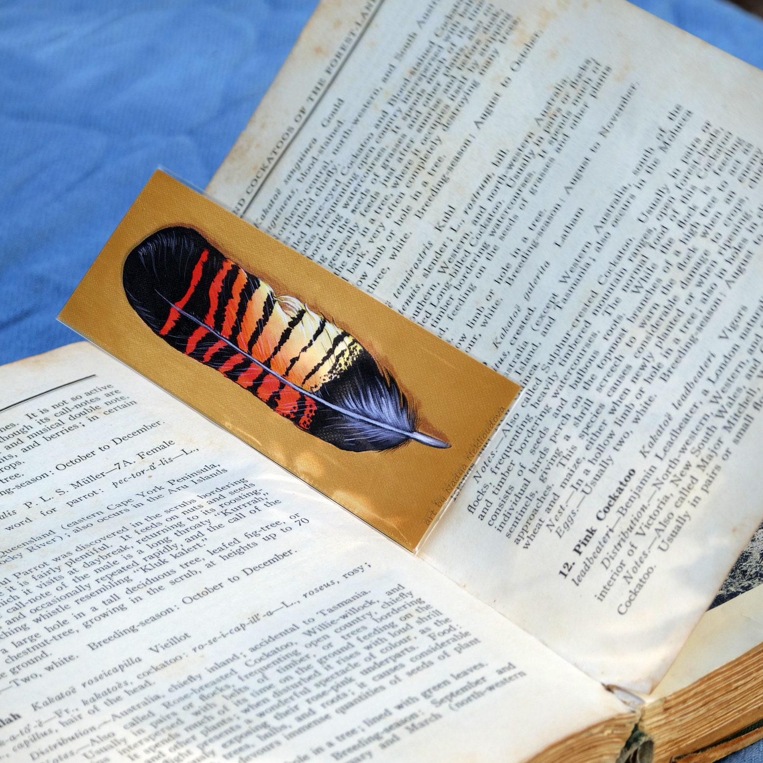 Black Cockatoo Feather Bookmark Canvas Bookmark 2x6in - Etsy Australia