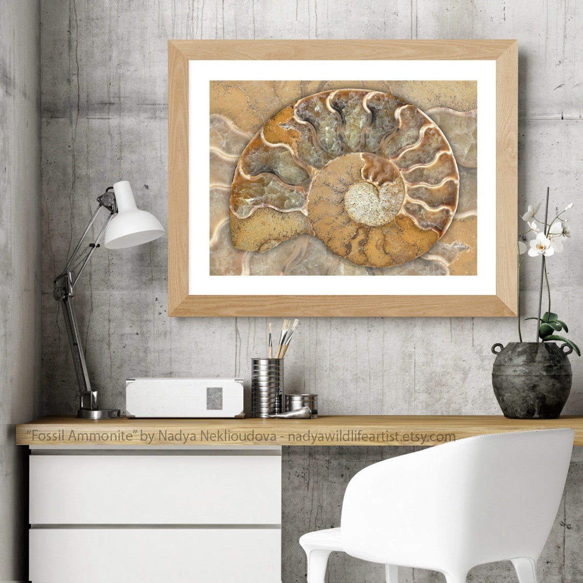 Fossil Ammonite art print B golden ratio sea shell wall | Etsy