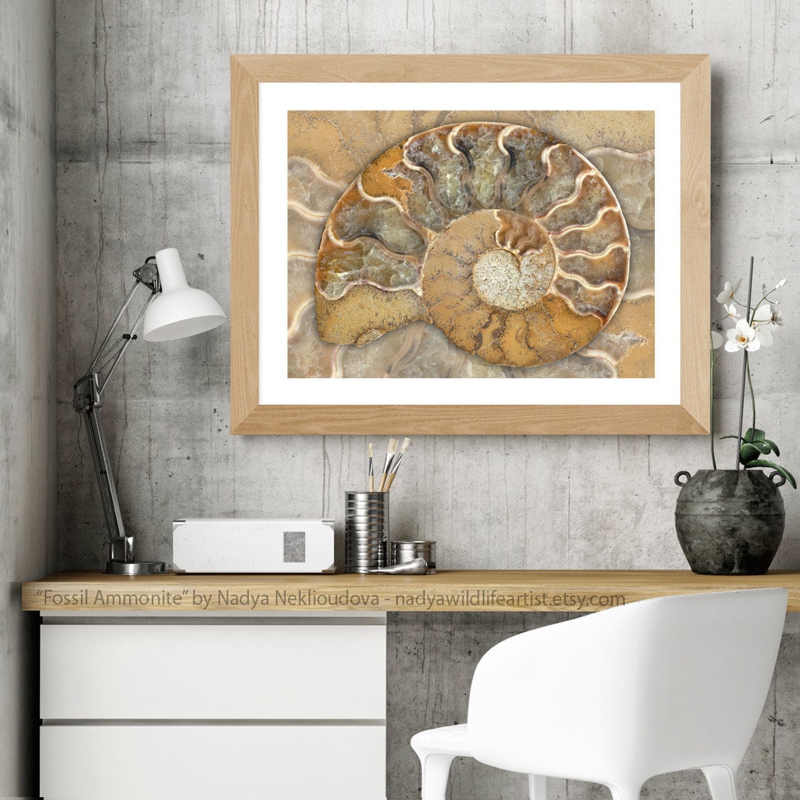 Fossil Ammonite art print B golden ratio sea shell wall | Etsy