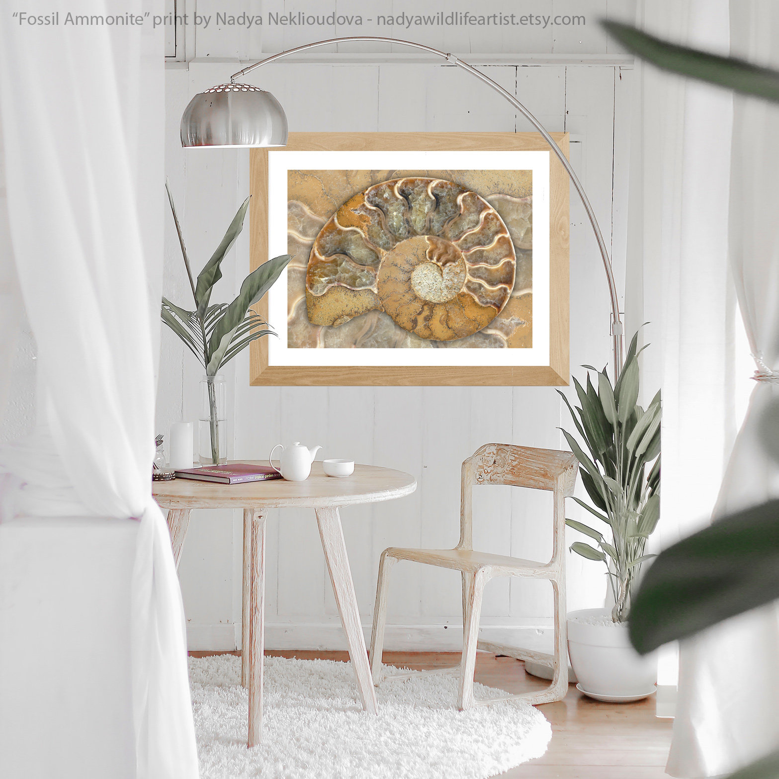 Fossil Ammonite Art Print B Golden Ratio Earth Tone Wall - Etsy Australia