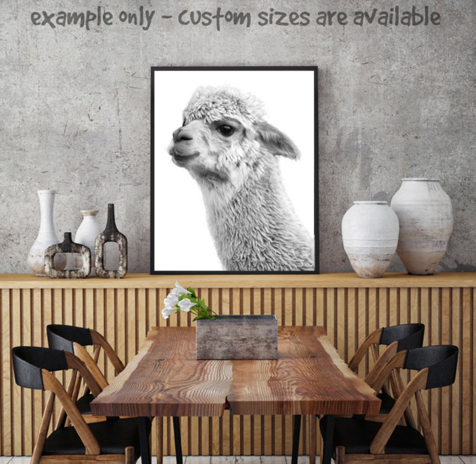 Adorable Alpaca on White Photo Print Llama Art, Alpaca Print, Llama ...