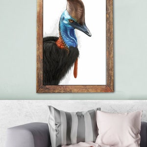 Cassowary Art Print - Australian Bird Print, Cassowary Wall Art ...