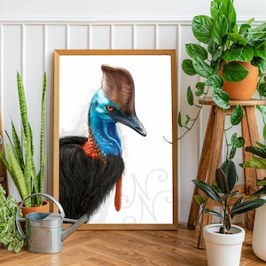 Cassowary Art Print - Australian Bird Print, Cassowary Wall Art ...