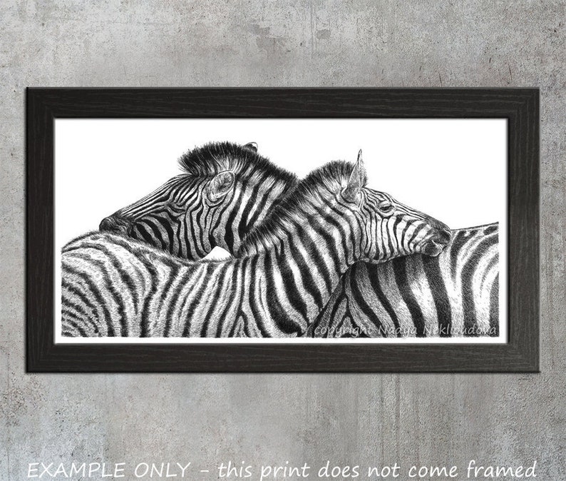 Zebra Love Zebra Print of Pen and Ink Drawing African Wildlife Art ...