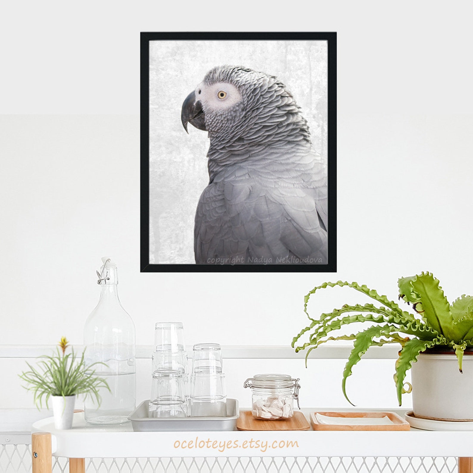 African Grey Parrot Print Parrot Photo Tropical Wall Art - Etsy Australia
