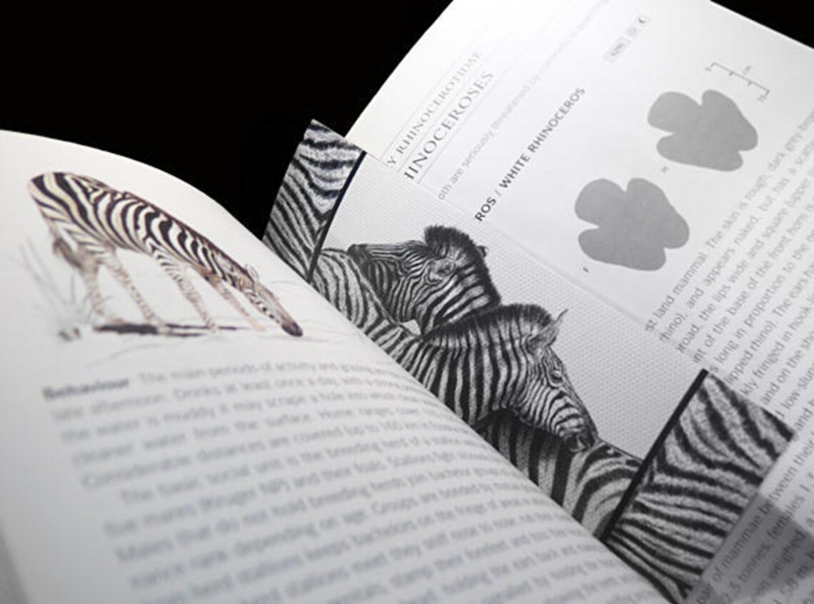 Art Bookmark Zebra Love Canvas Printed Bookmark 2x6 Inches - Etsy