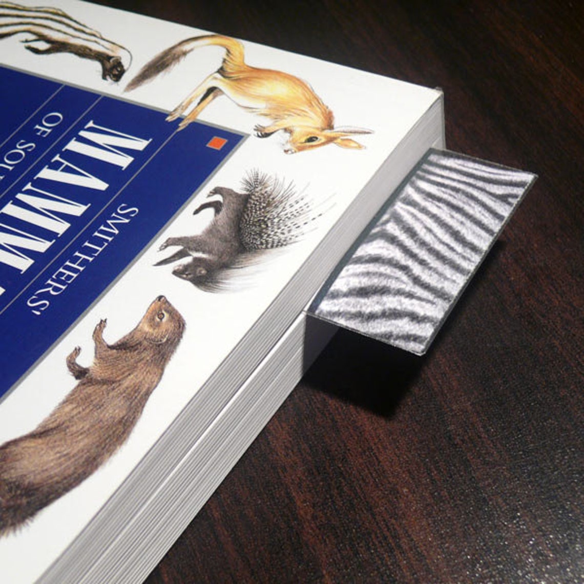 Art Bookmark Zebra Love Canvas Printed Bookmark 2x6 Inches - Etsy