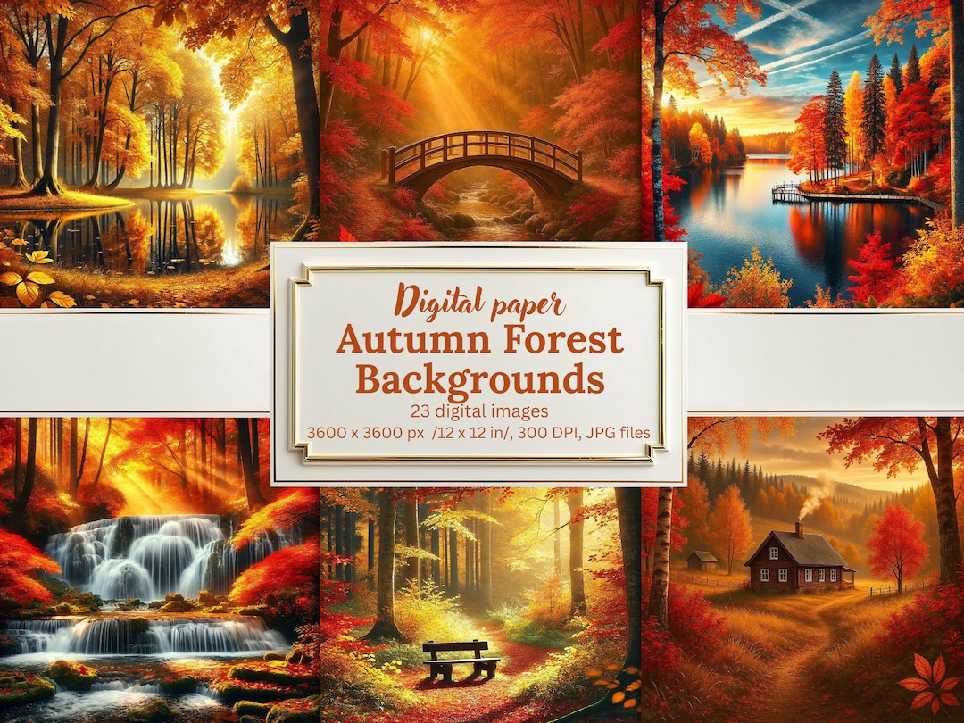 Autumn Forest Backgrounds, Woodland Digital Paper Pack, Fall Landscape ...