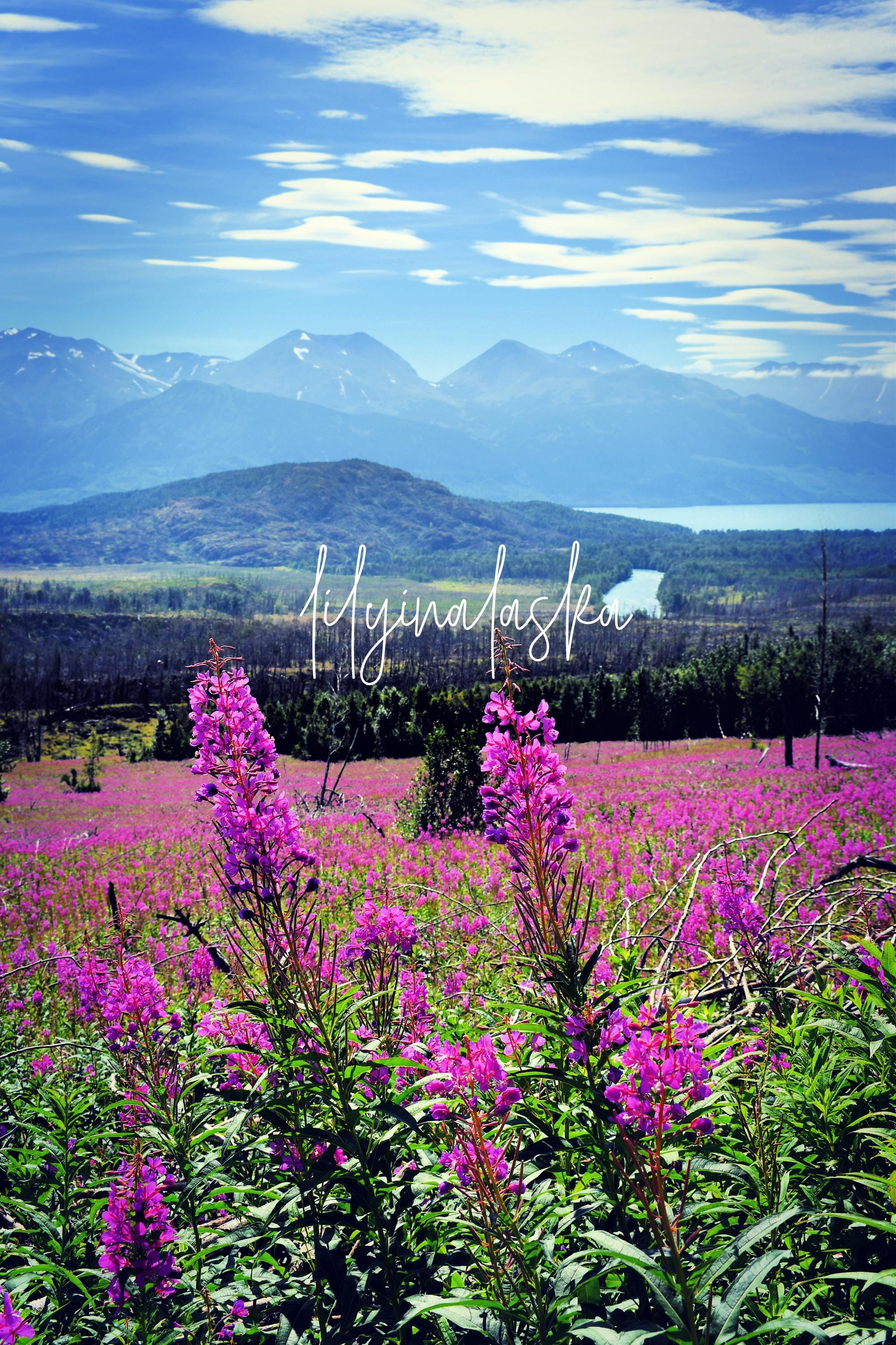 Alaska Picture Print File, Alaska Photography Print File, Nature ...