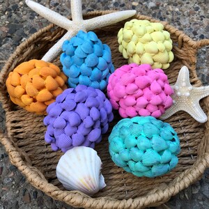 6 Easter Egg Seashells, Beach House, Beach Decor, Coastal Decor, Wall ...