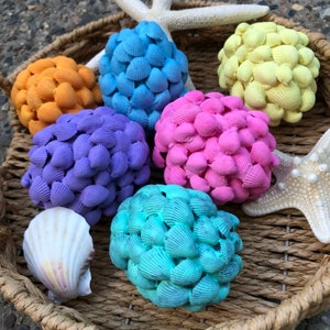 6 Easter Egg Seashells, Beach House, Beach Decor, Coastal Decor, Wall ...