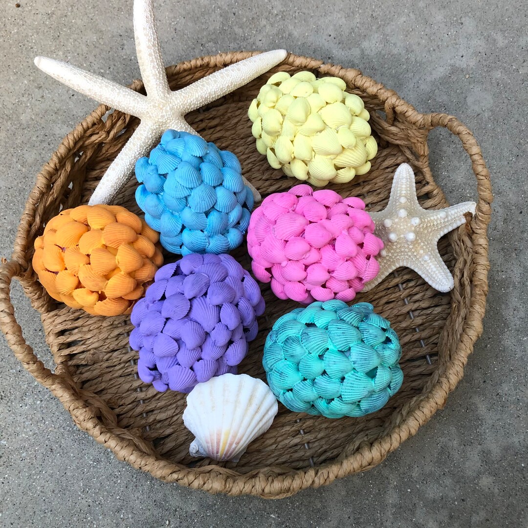 6 Easter Egg Seashells, Beach House, Beach Decor, Coastal Decor, Wall ...