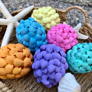 6 Easter Egg Seashells, Beach House, Beach Decor, Coastal Decor, Wall ...