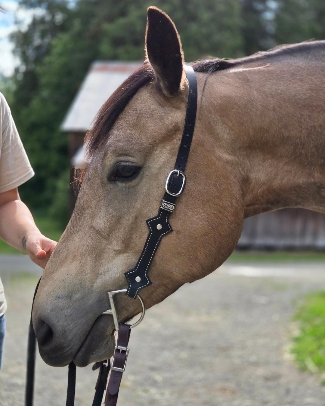 Custom Horse Bridles + Accessories - Etsy