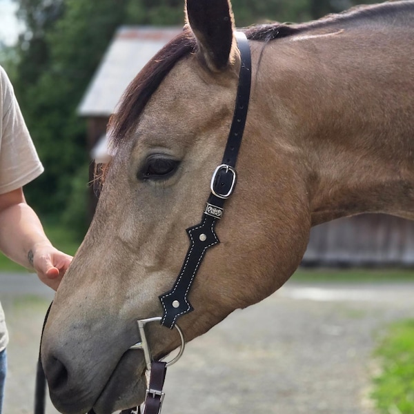 One Ear Bridle - Etsy