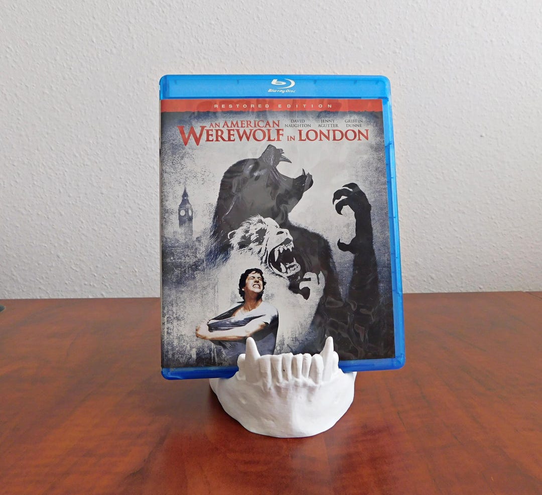 Mandible Skull Multi-use Display Stand for Horror Movies/goosebumps ...