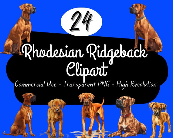 Rhodesian Ridgeback Clipart, 24 Transparent PNG, Dog Lover Clipart, Dog ...