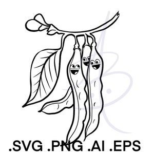 Cool Beans, Veggie, Green Beans - Svg, Png, Ai, Eps, Instant DIGITAL ...