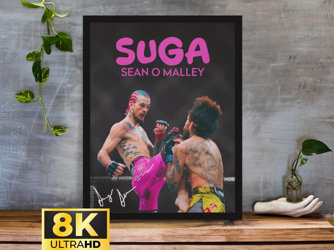 Sean O' Malley, SUGA, Poster, UFC 299, Knee Over Chito Vera, UFC Poster ...