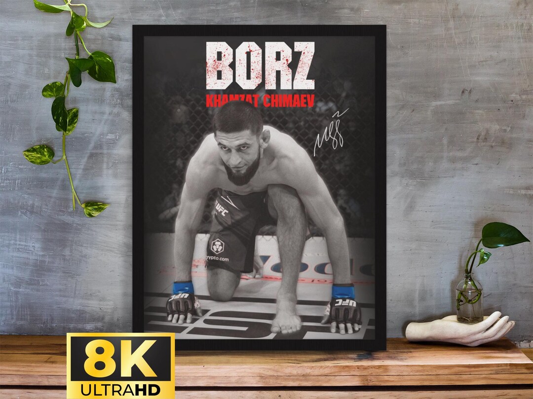 Khamzat Chimaev, Poster, Borz, UFC Poster, Sweden Poster, Poster Ideas ...