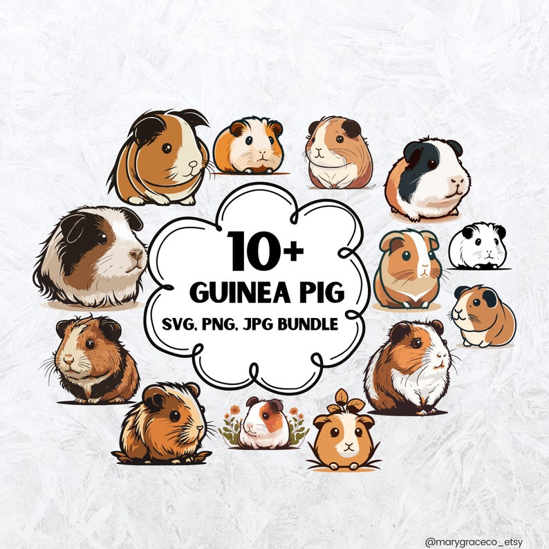 Guinea Pig Bundle Files SVG, PNG, JPG | Instant Digital Download ...