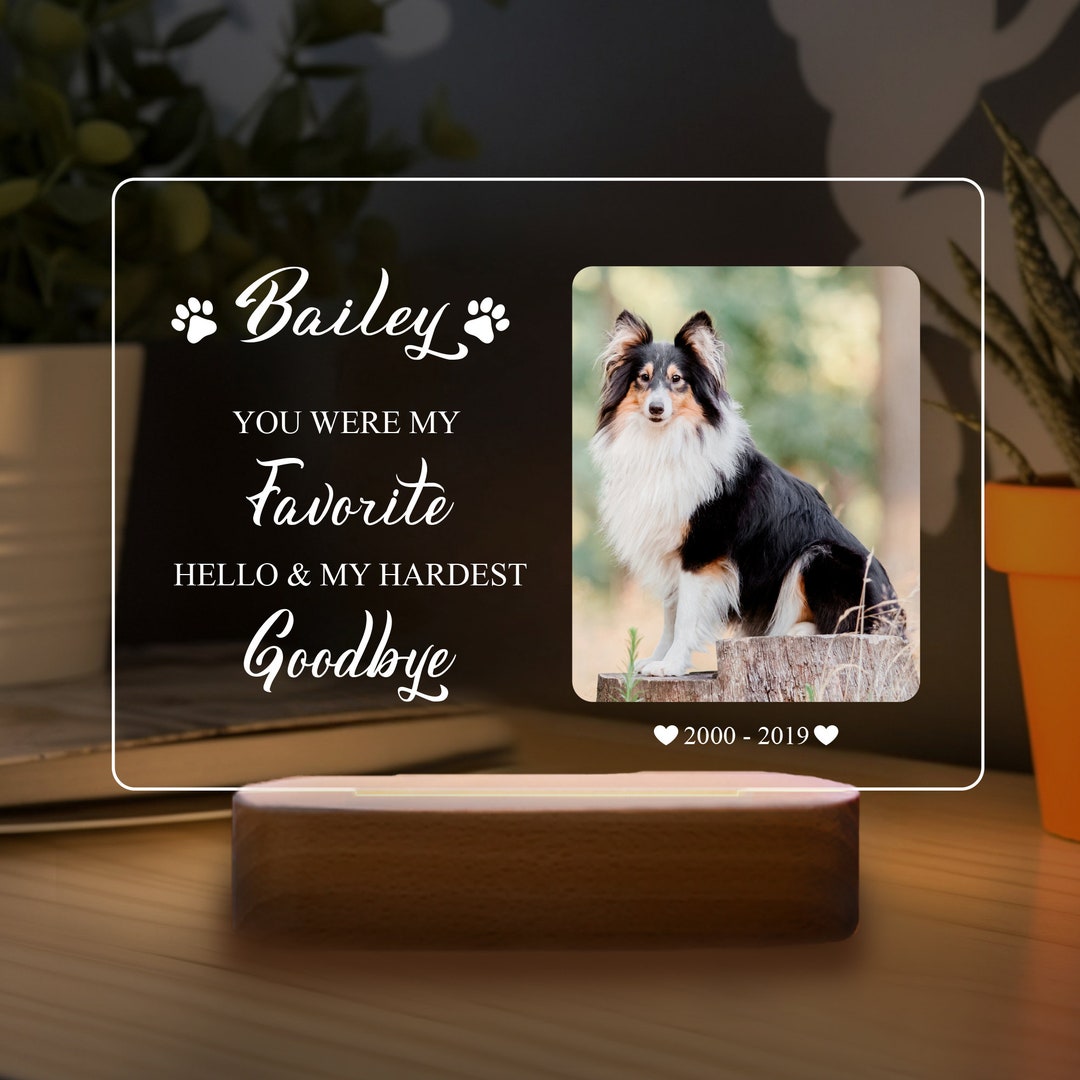 Personalized Pet Memorial LED Night Light, Custom LED Dog Lamp ...